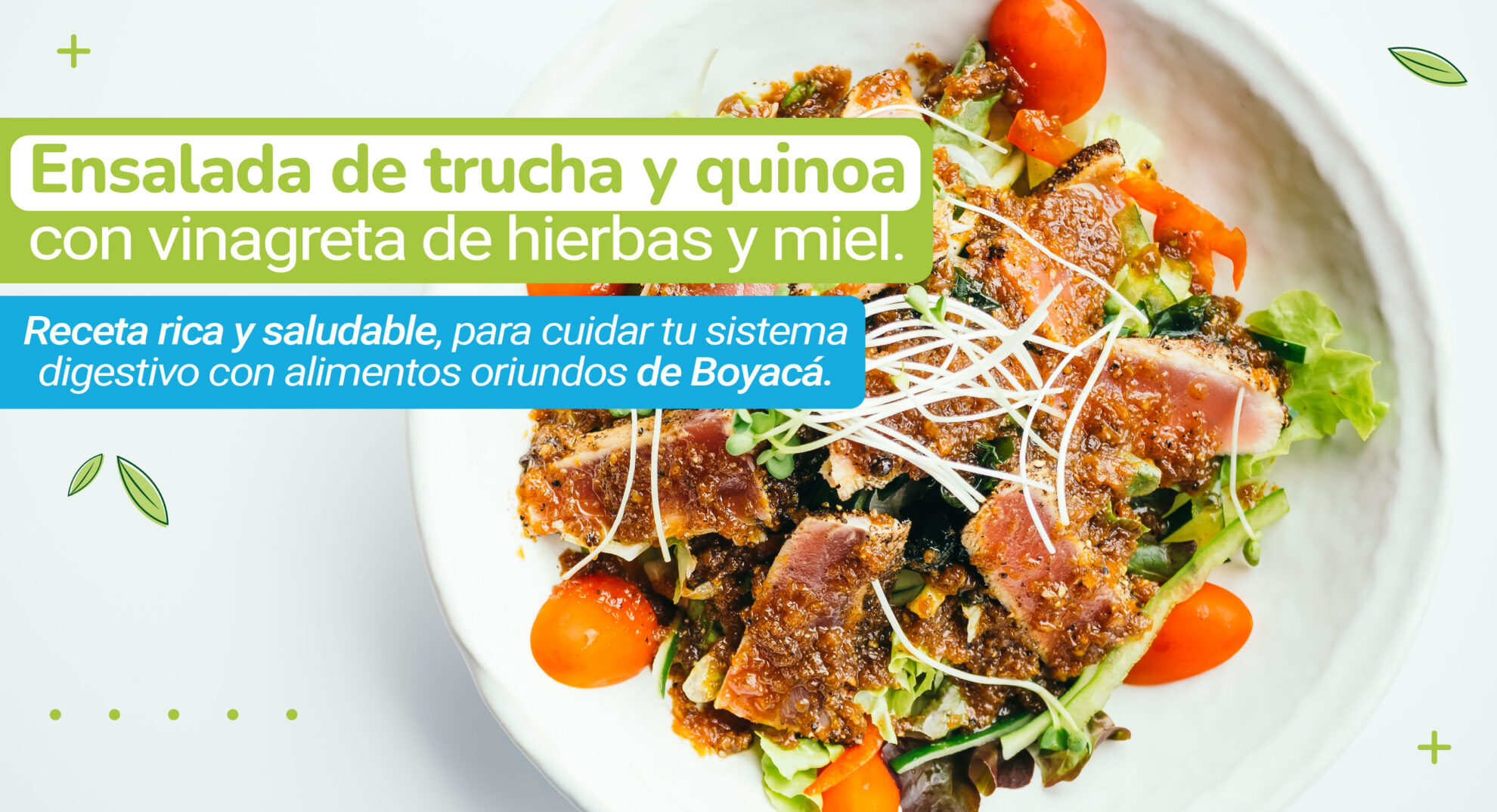 Receta fácil y deliciosa para el cuidado del sistema digestivo - Limeq